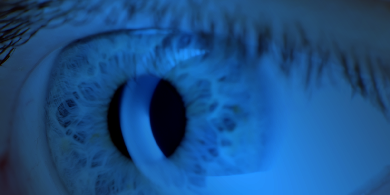 The Basics Of Blue Light & Digital Eye Strain